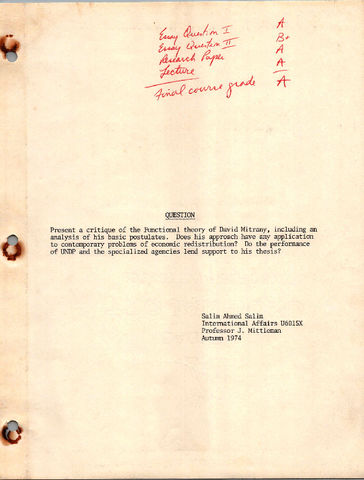Critique on David Mitrany's Functional Theory | Salim Ahmed Salim